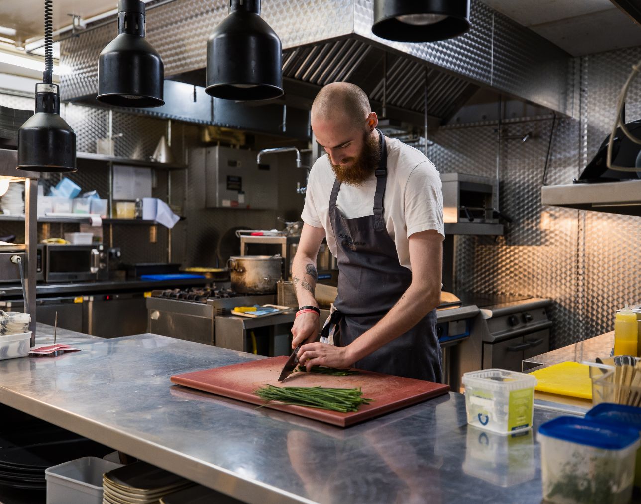 View All Subject Areas